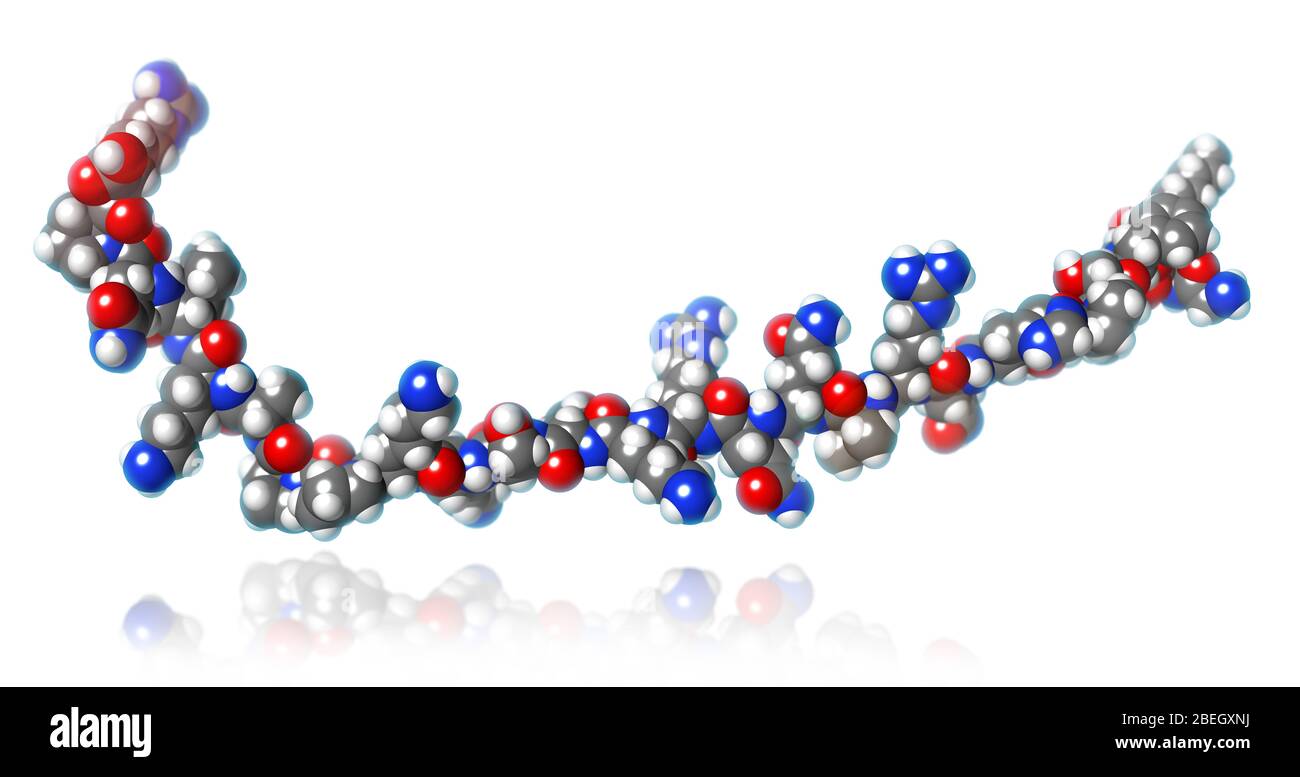 3d model molecule amino acid hi-res stock photography and images - Alamy