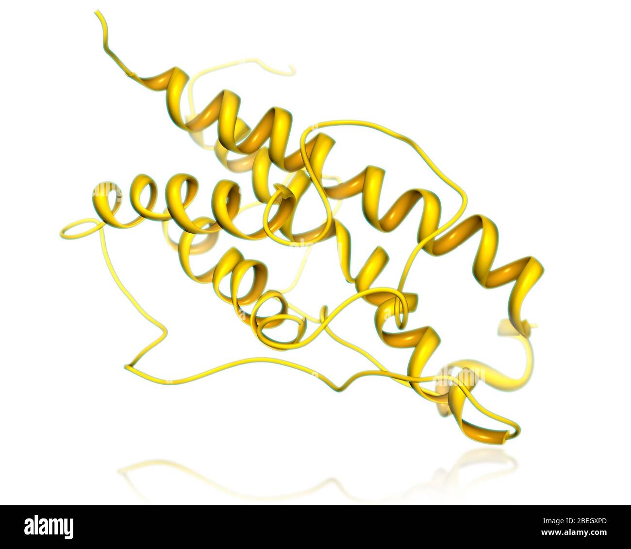 Model human growth hormone Cut Out Stock Images & Pictures - Alamy