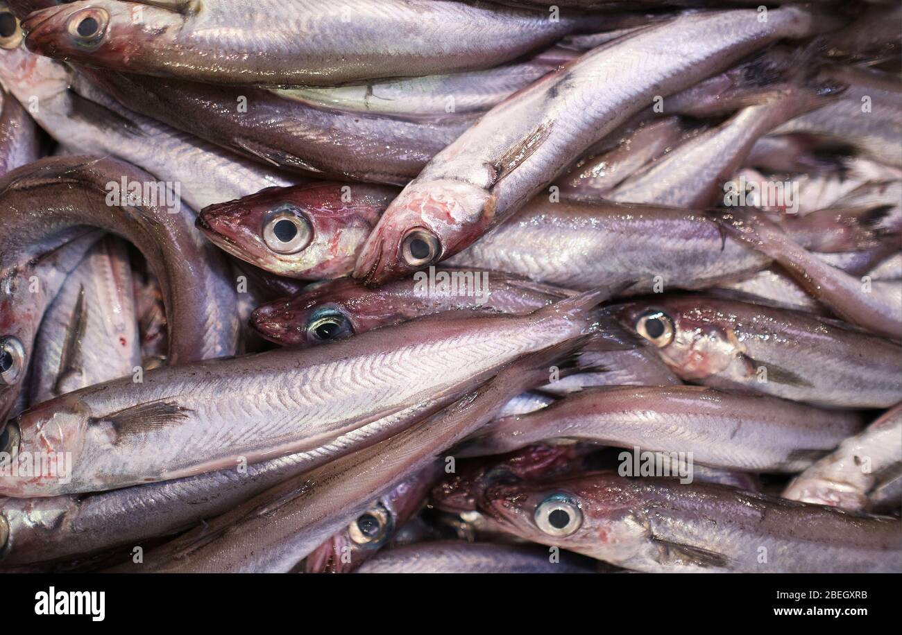 Photo samples hi-res stock photography and images - Alamy