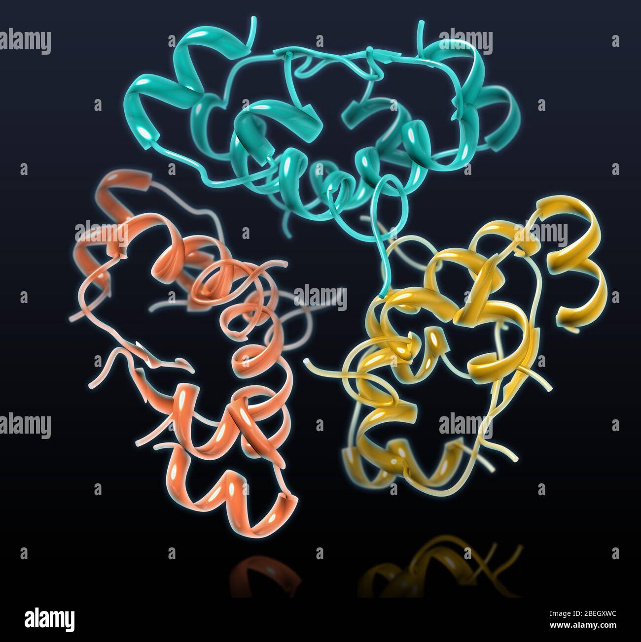 Insulin metabolism hi-res stock photography and images - Alamy