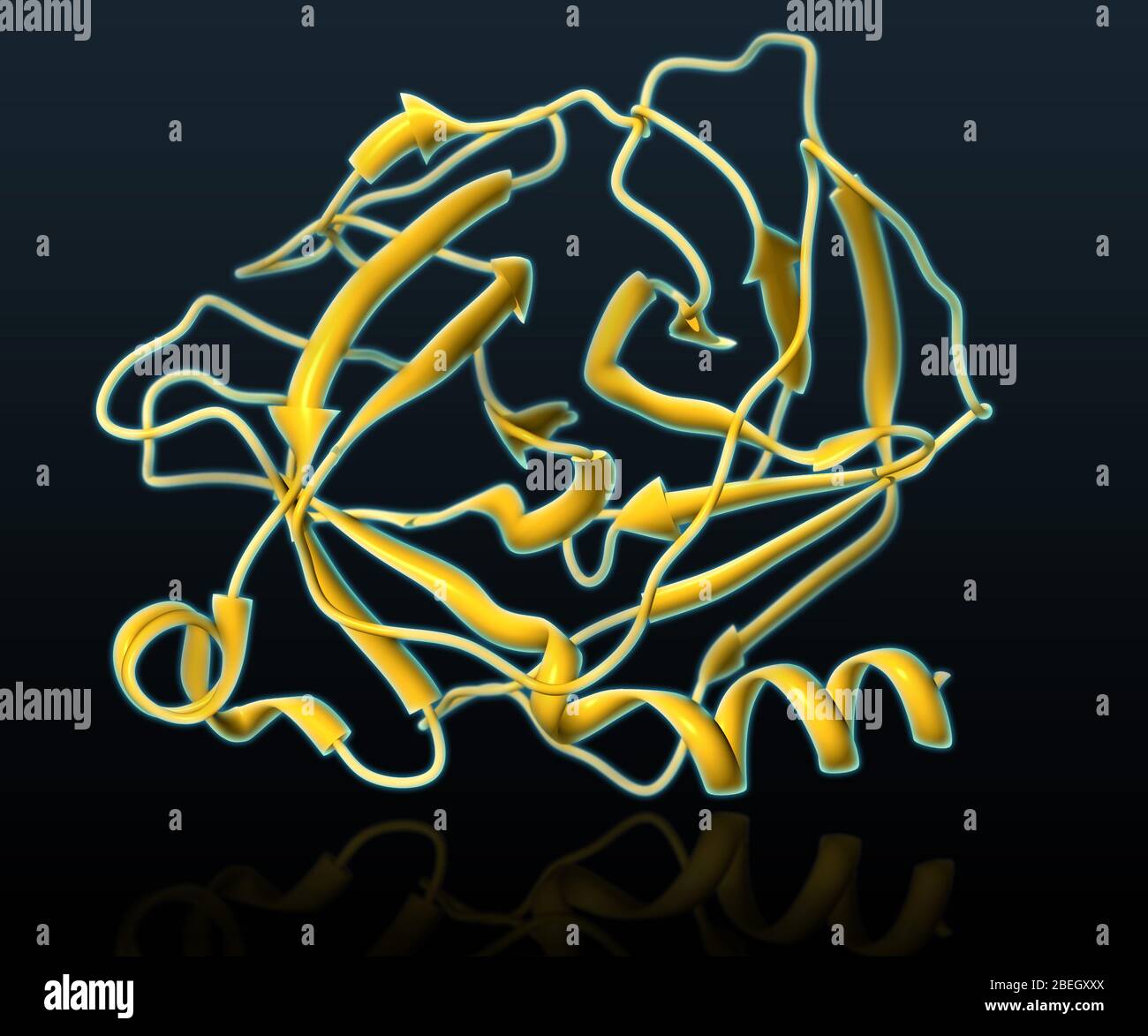 Trypsin ribbon model hi-res stock photography and images - Alamy