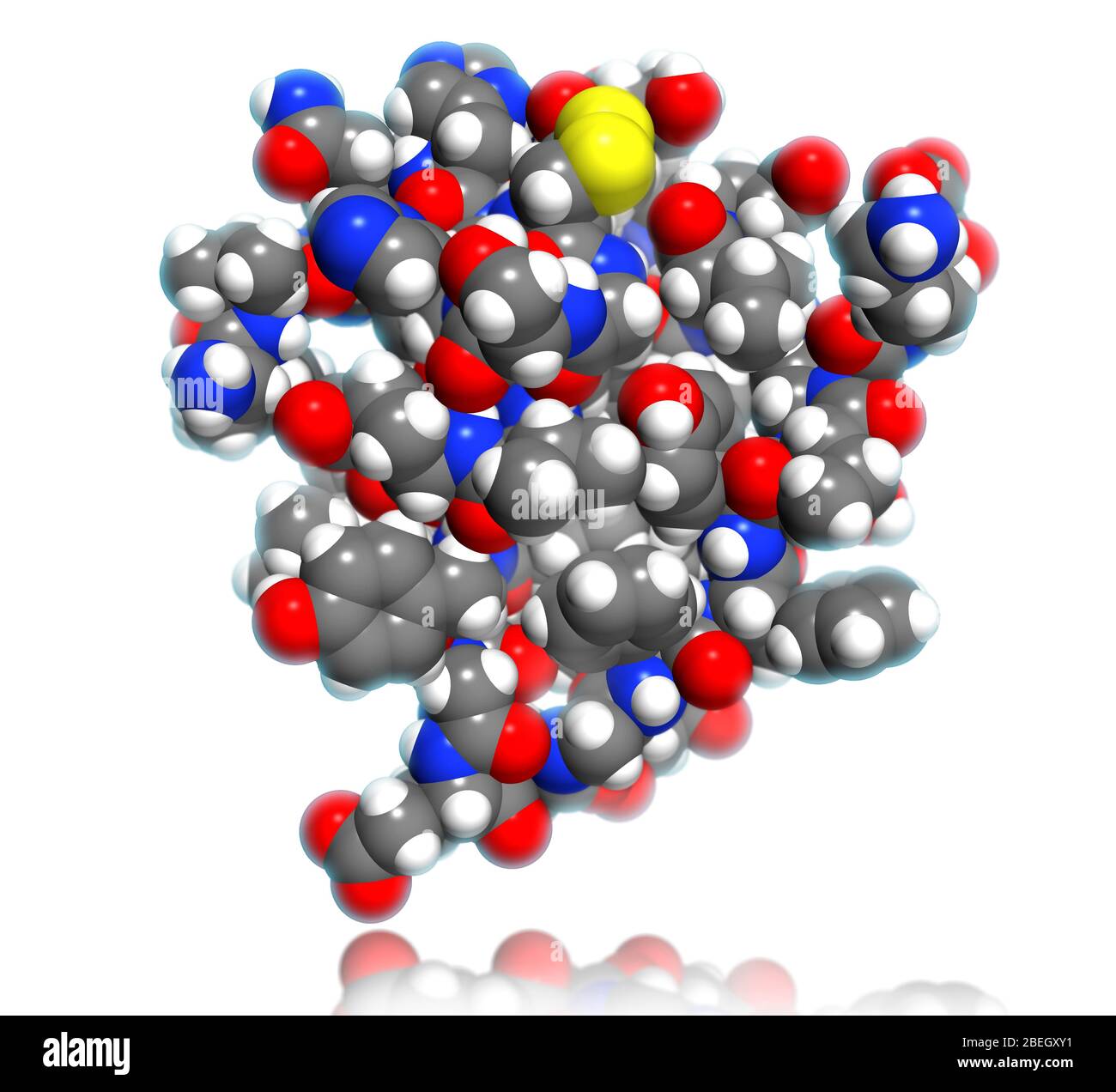 Insulin molecule hi-res stock photography and images - Alamy