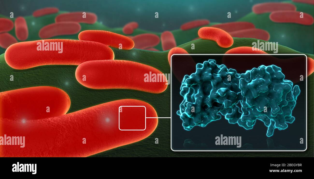 Carbapenem molecular model hi-res stock photography and images - Alamy