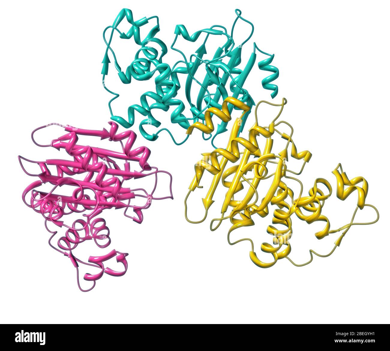 Carbapenemase Molecular Model Stock Photo - Alamy