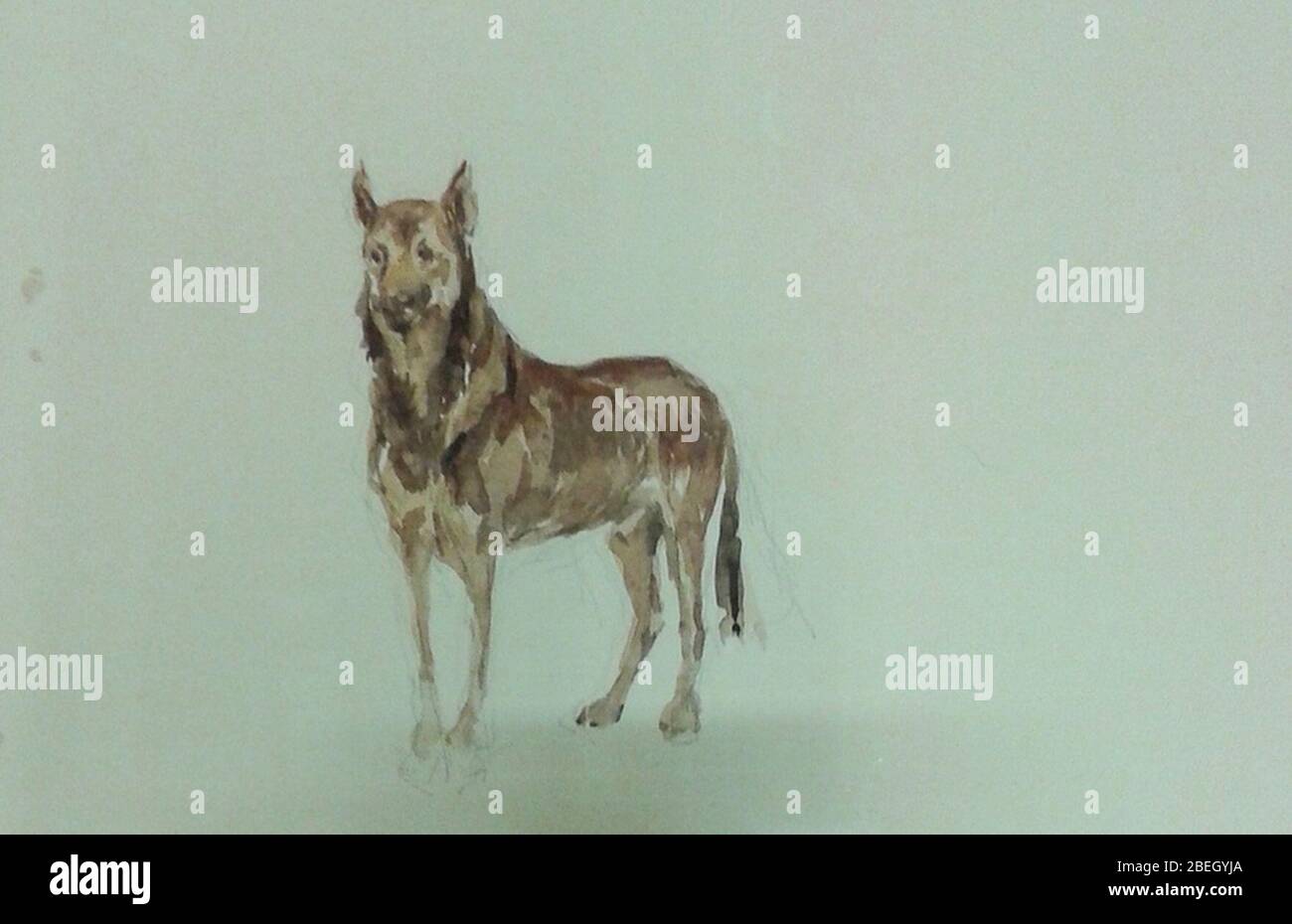 Henrique Bernardelli - Estudo de animal (Cachorro Stock Photo - Alamy