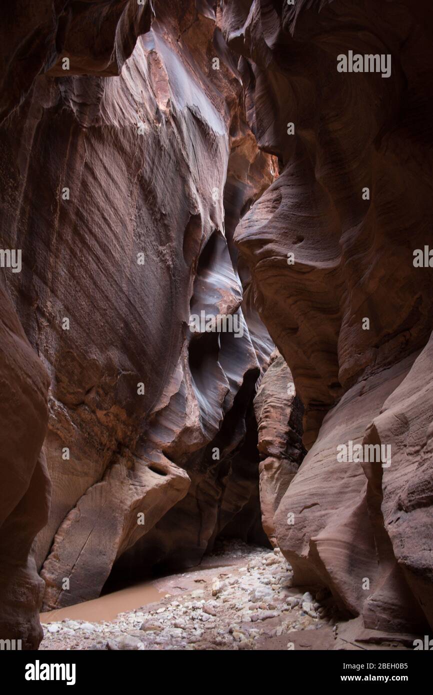 Carved sandstone hi-res stock photography and images - Alamy