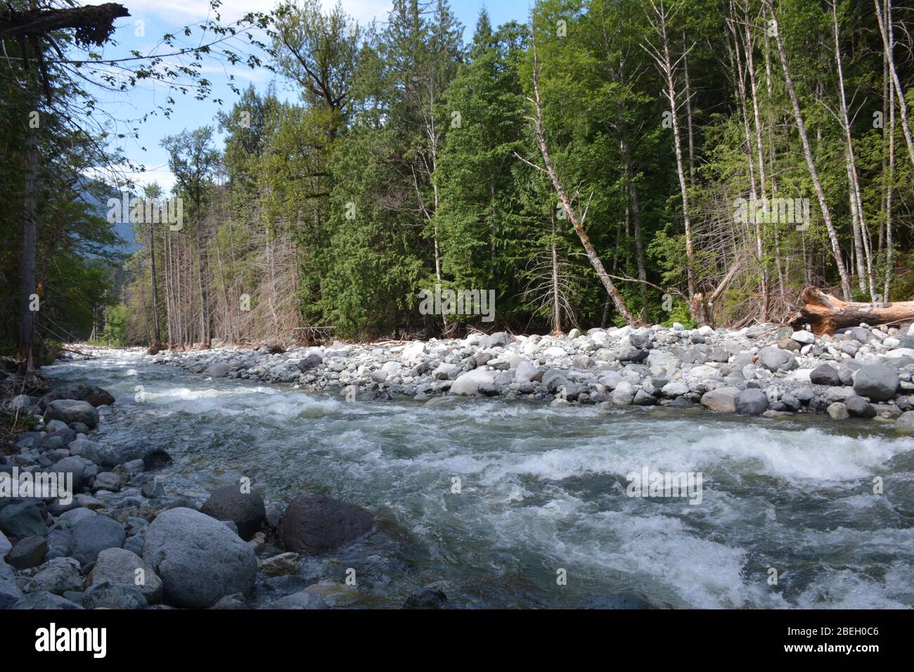 Pictured at Burnt Bridge Creek while hiking on the Burnt Bridge Loop ...