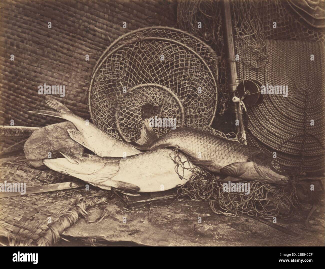 Henry Bailey (English, active late 1860s) - Still Life with Carp and ...