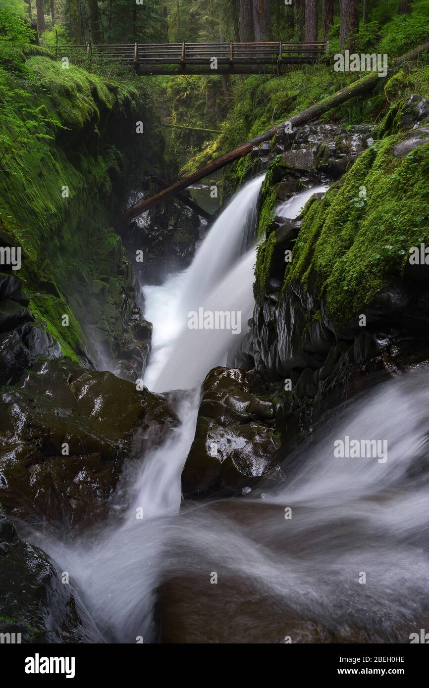 Waterfall flowing in mossy forest under wooden bridge Stock Photo - Alamy