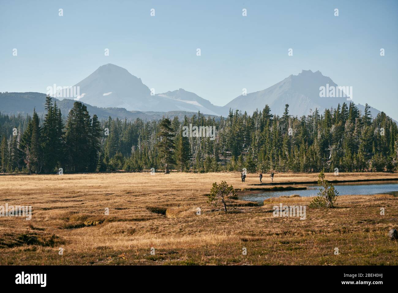 Walking through meadow hi-res stock photography and images - Alamy