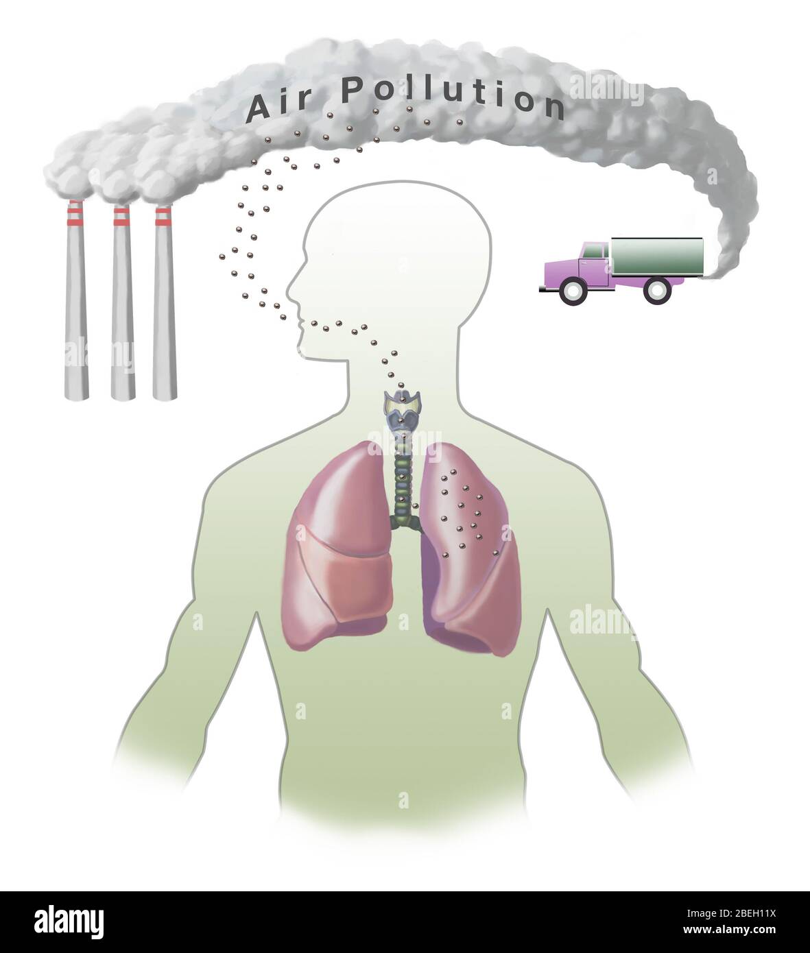 Air Pollution and Lungs Stock Photo - Alamy