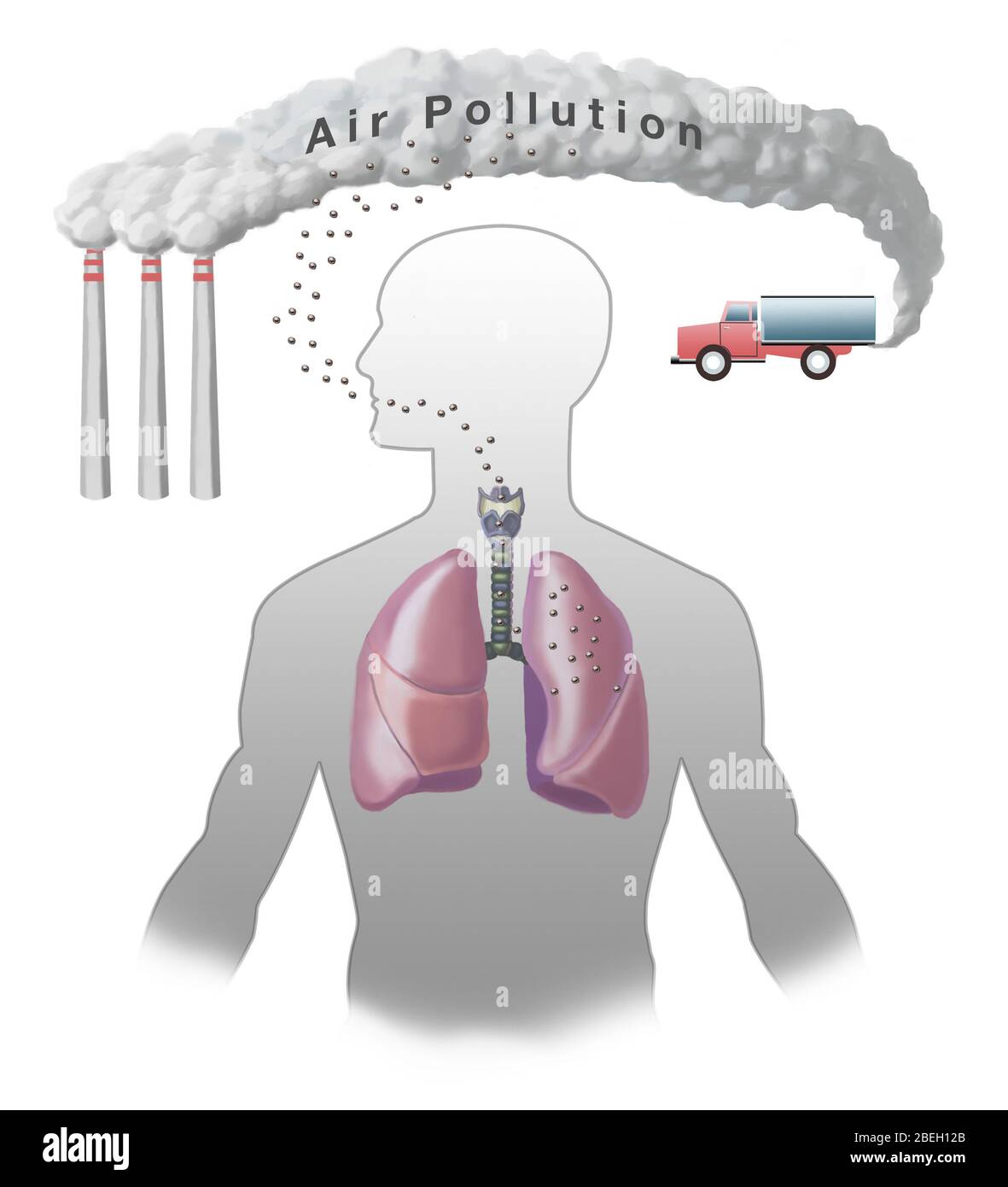 Air Pollution and Lungs Stock Photo - Alamy
