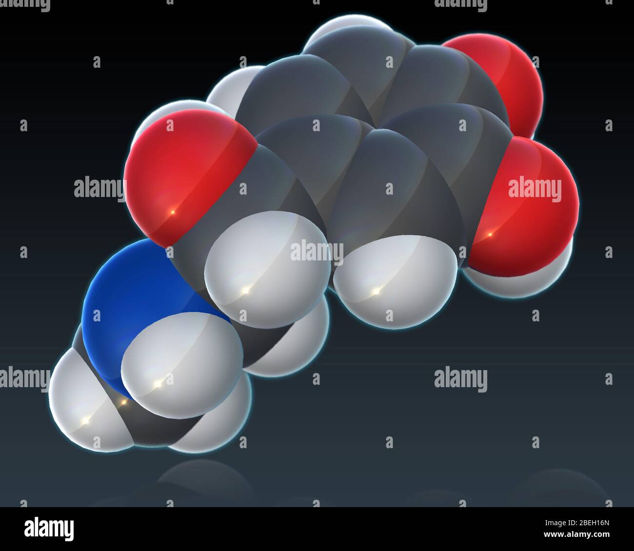 Adrenaline epinephrine molecule hi-res stock photography and images - Alamy