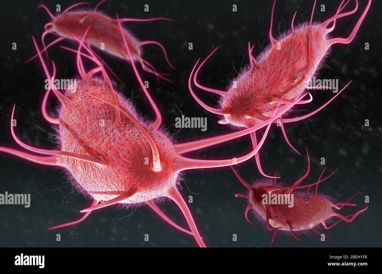 Epromo 3d illustration hi-res stock photography and images - Alamy