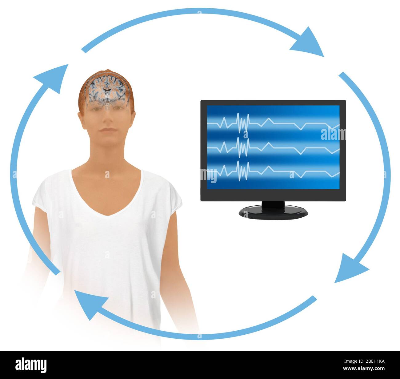 Functions of the brain hi-res stock photography and images - Alamy