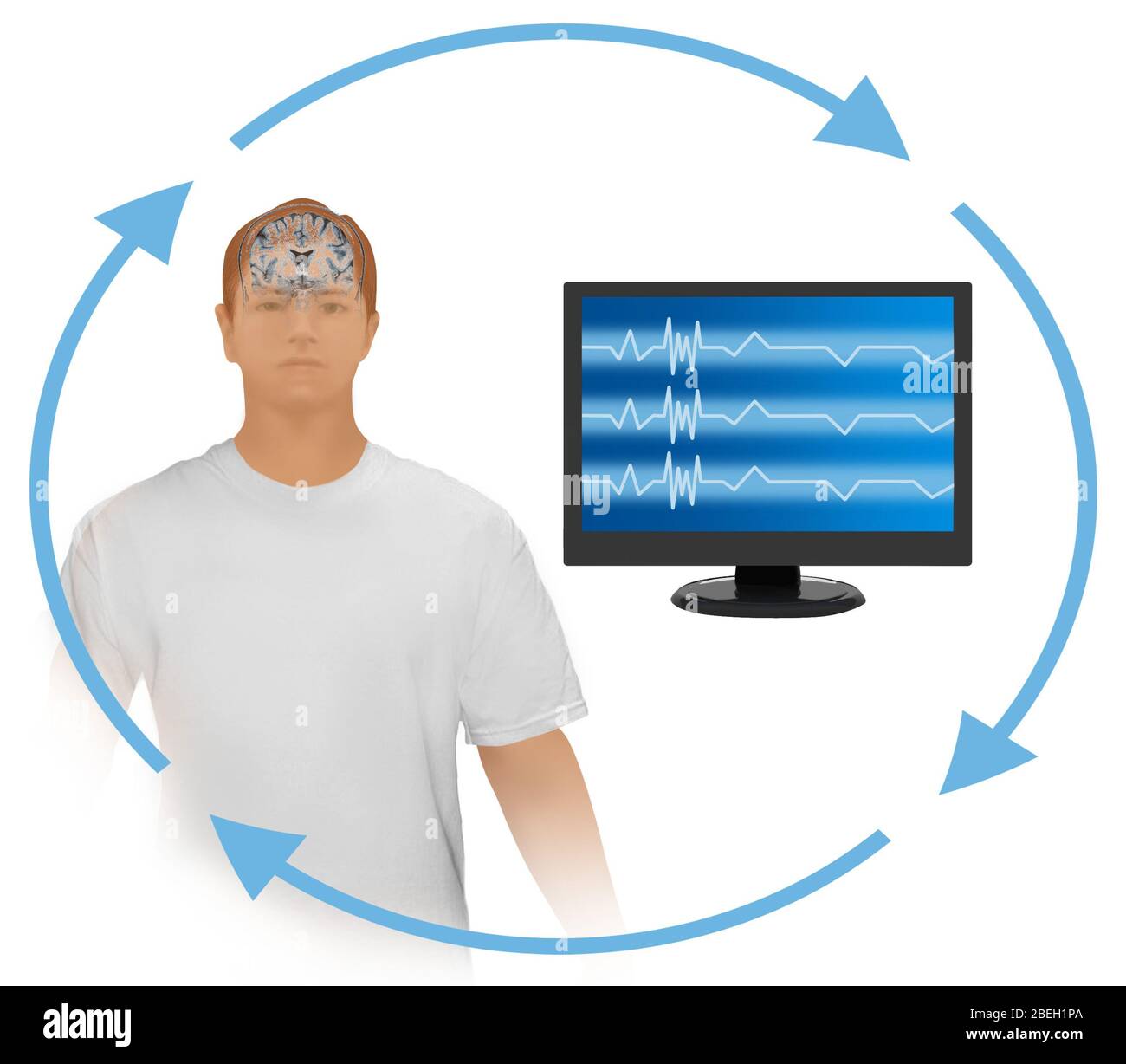 Functions of the brain hi-res stock photography and images - Alamy