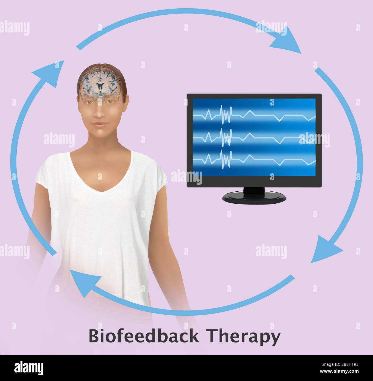 Annotated brain hi-res stock photography and images - Alamy