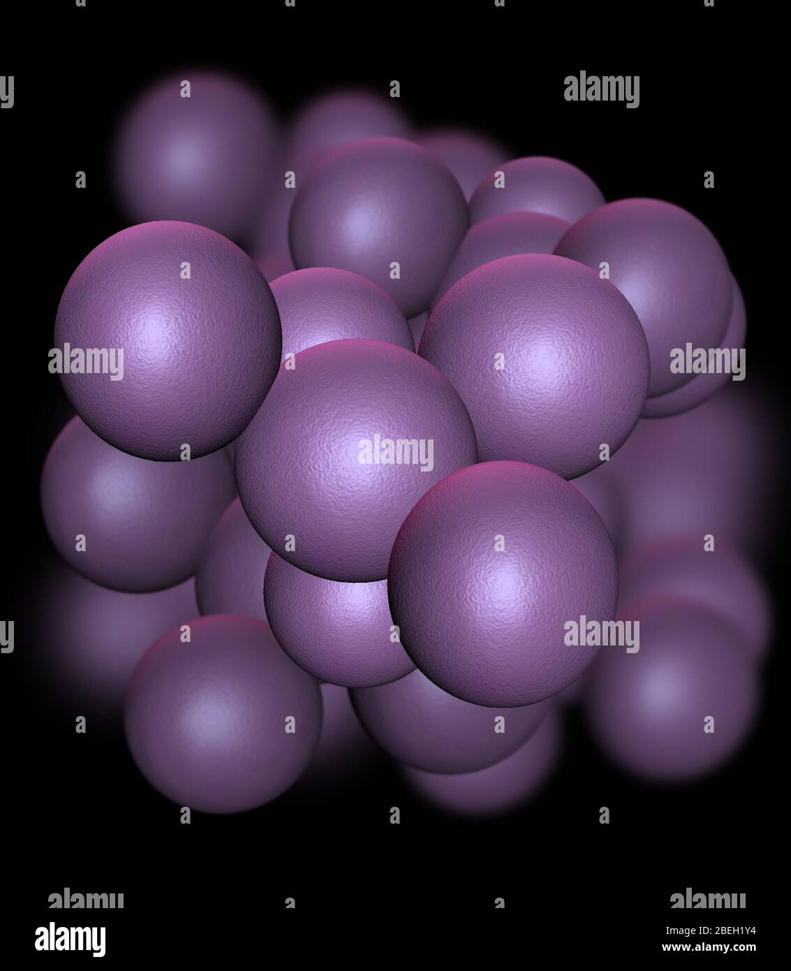 Coccal hi-res stock photography and images - Alamy