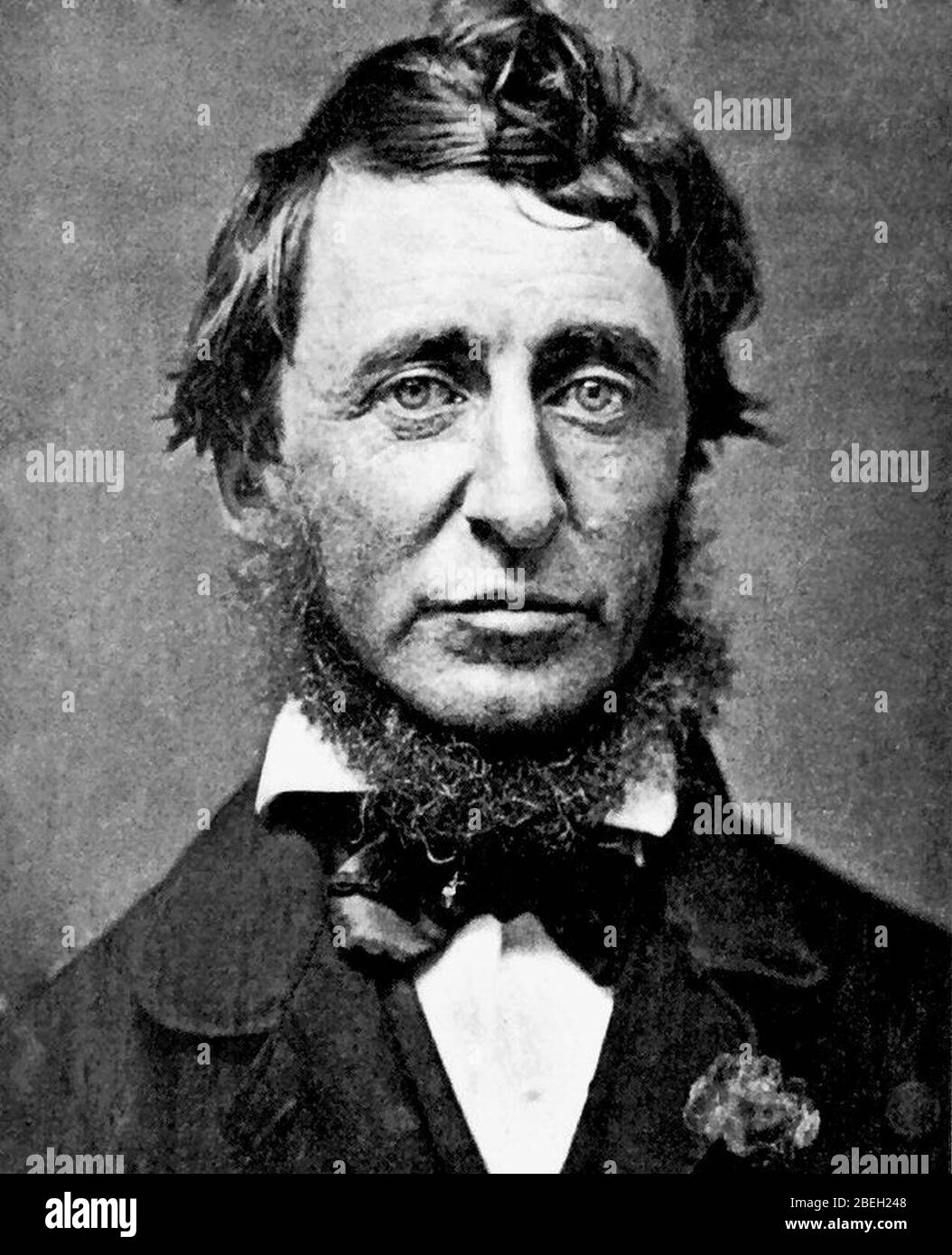 Henry david thoreau hi-res stock photography and images - Alamy