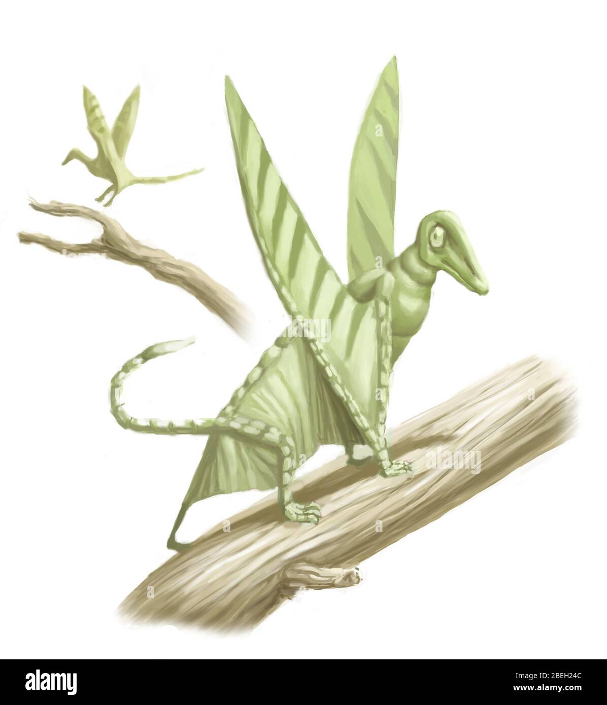 Prehistoric pterosaurs hi-res stock photography and images - Alamy