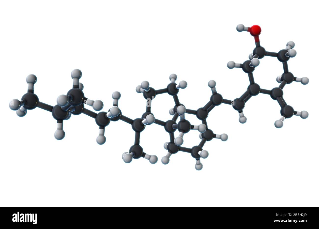 Vitamin D 3d Structure