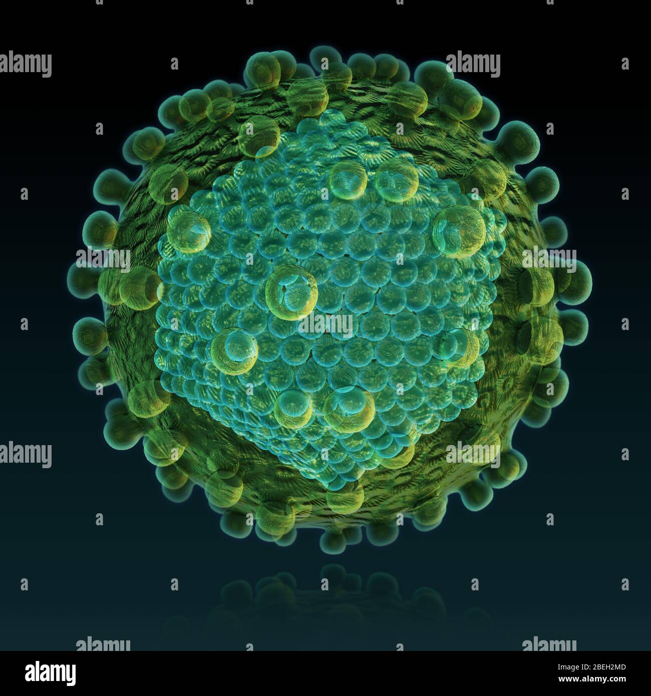 Hepatitis c virus hi-res stock photography and images - Alamy