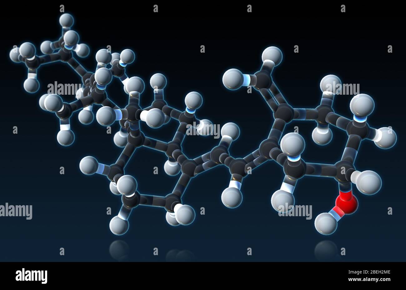 Vitamin D2, Molecular Model Stock Photo - Alamy