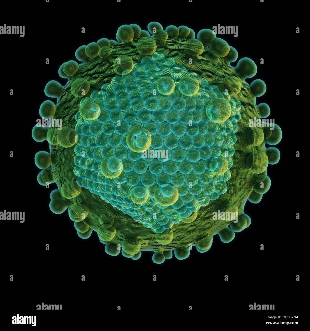 Hcv disease hi-res stock photography and images - Alamy