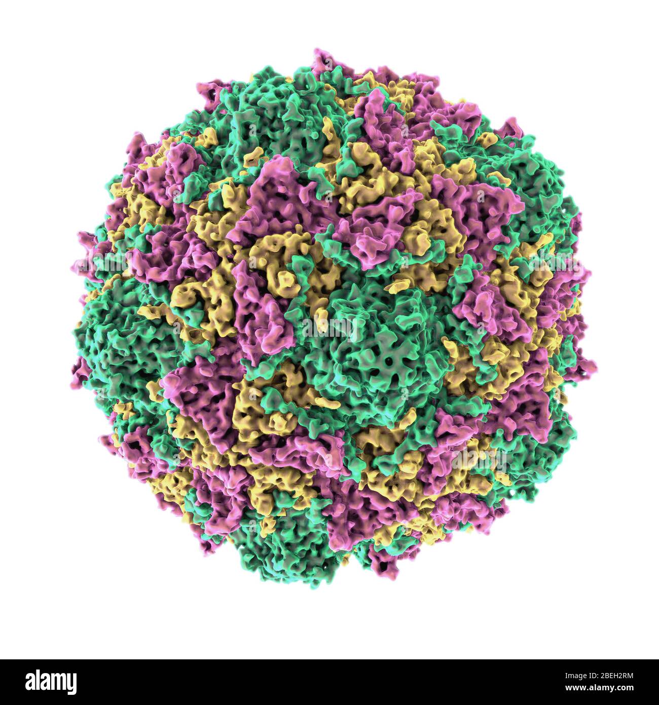 Poliovirus 3d Model