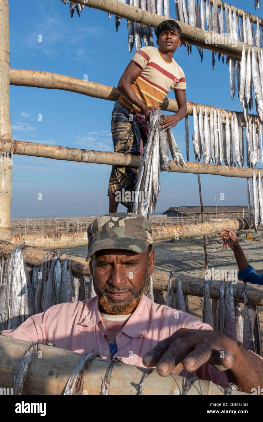 Hanging fish hi-res stock photography and images - Alamy