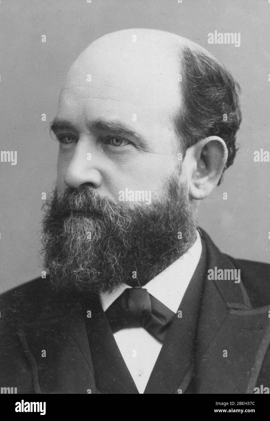 Henry George c1885 retouched Stock Photo - Alamy