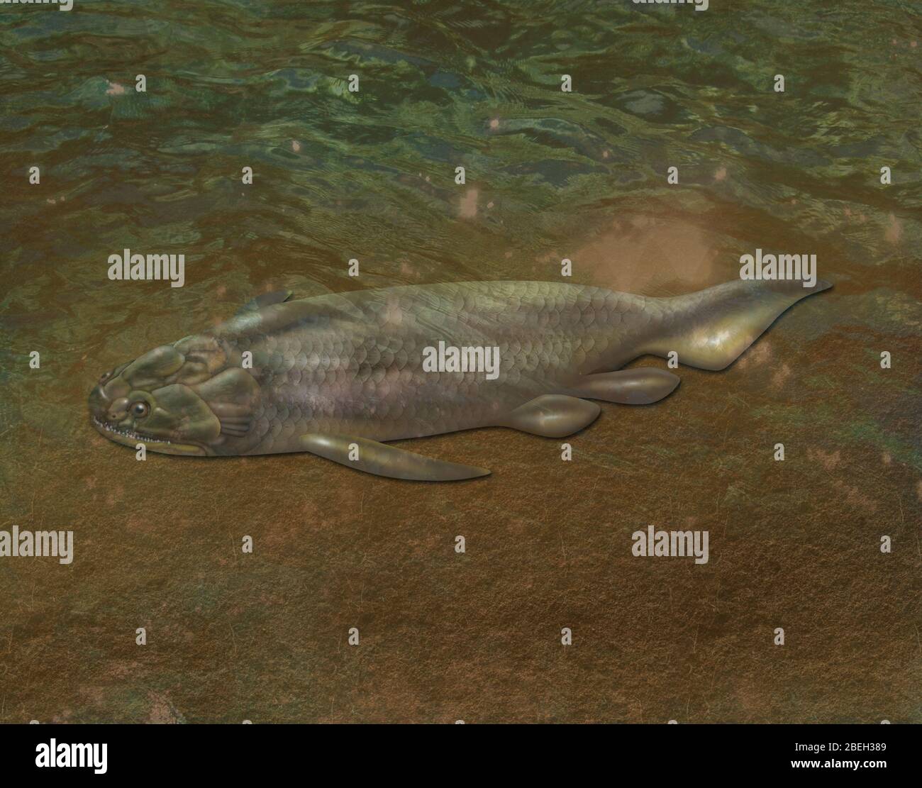Extinct fish hi-res stock photography and images - Alamy