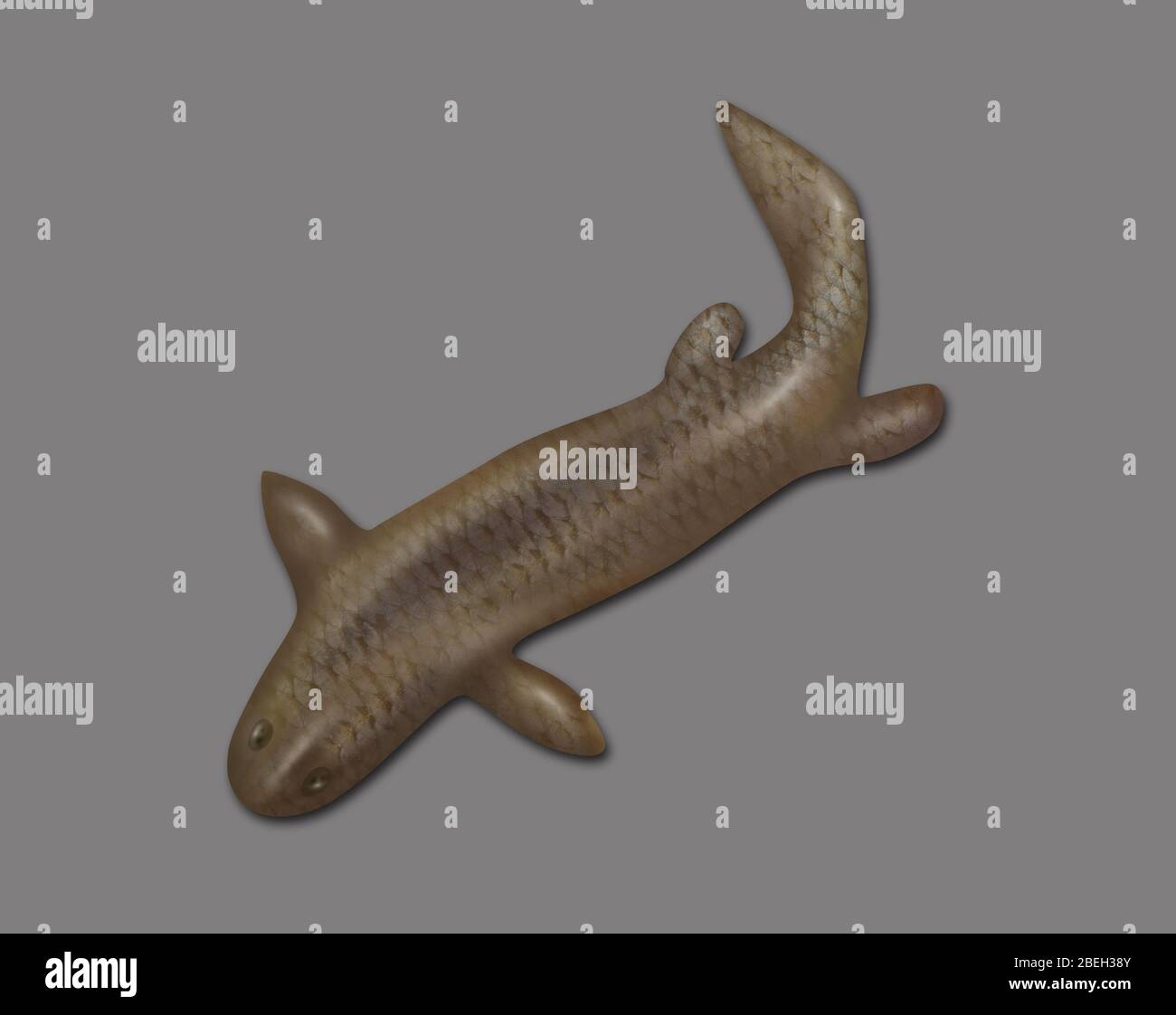 Devonian fish hi-res stock photography and images - Alamy