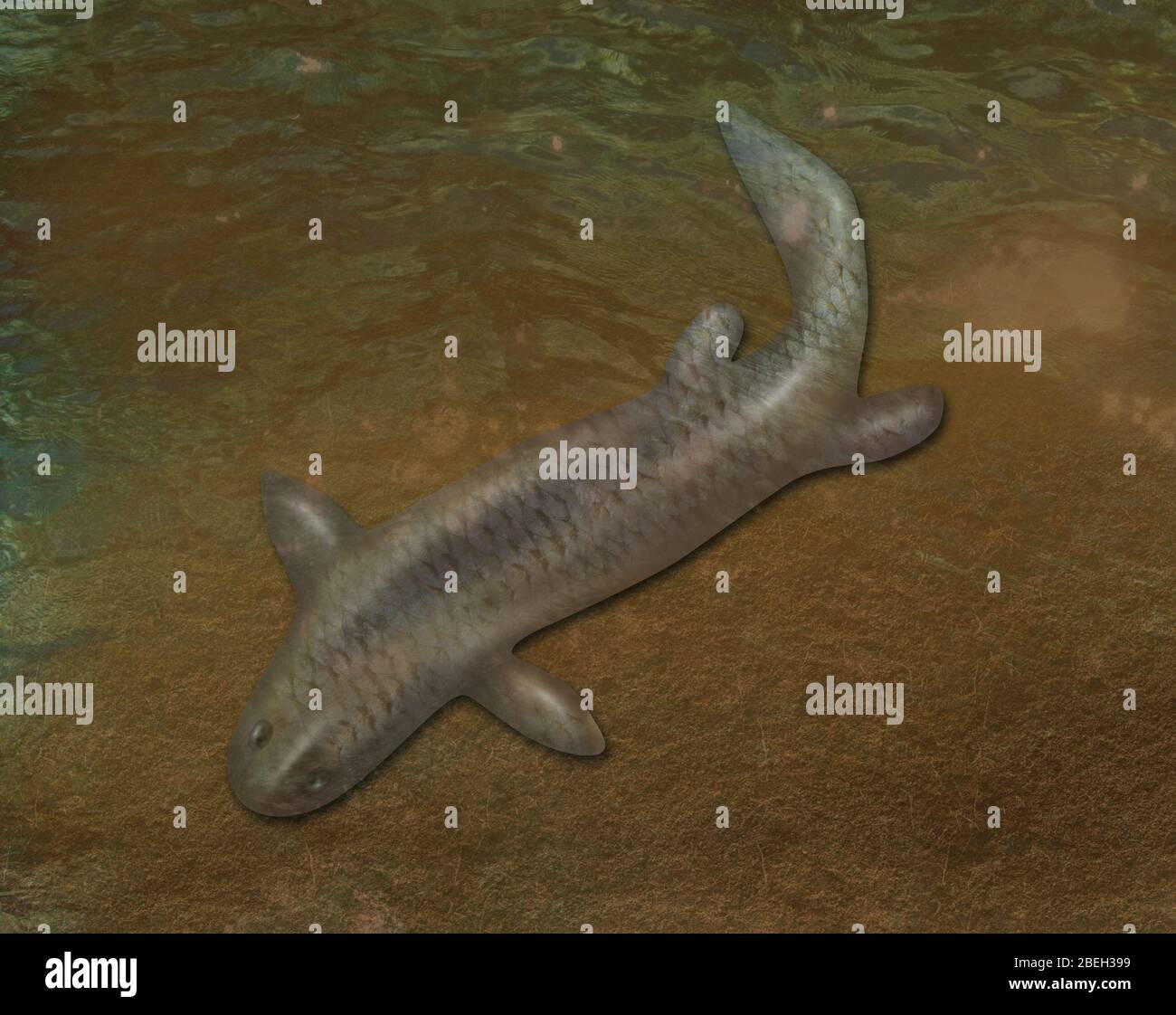 Panderichthys, Extinct Fish Stock Photo - Alamy