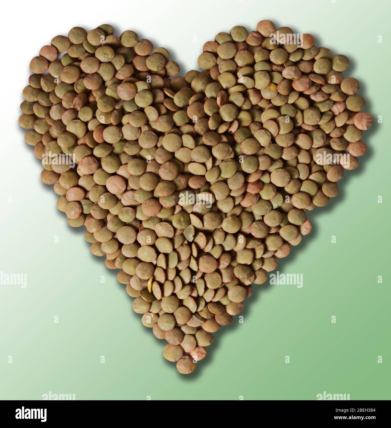 Lentil plant hi-res stock photography and images - Alamy