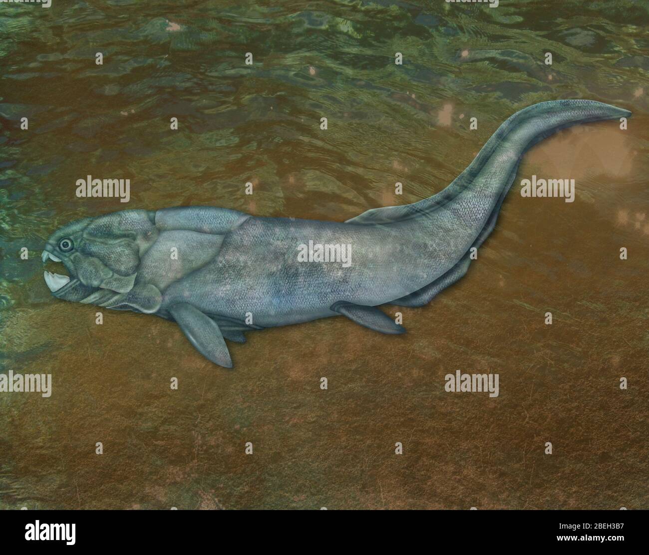 Placoderm, Extinct Fish Stock Photo - Alamy