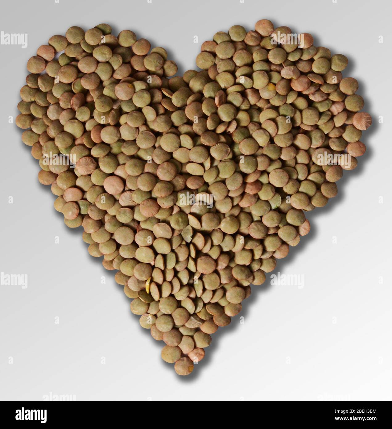 Lentil plant hi-res stock photography and images - Alamy
