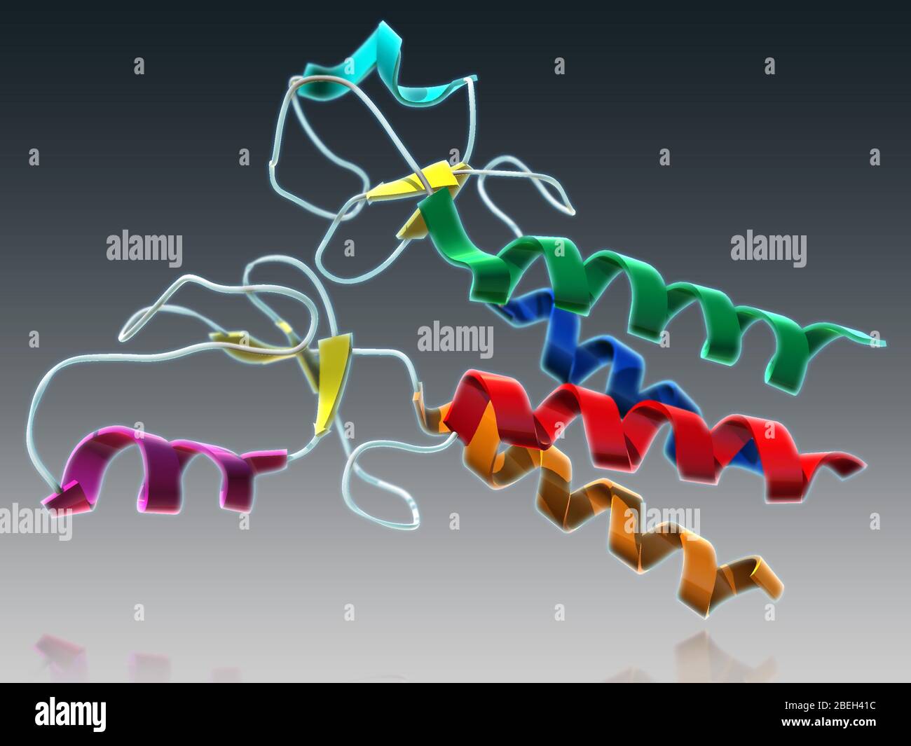 BRCA1, Molecular Model Stock Photo - Alamy