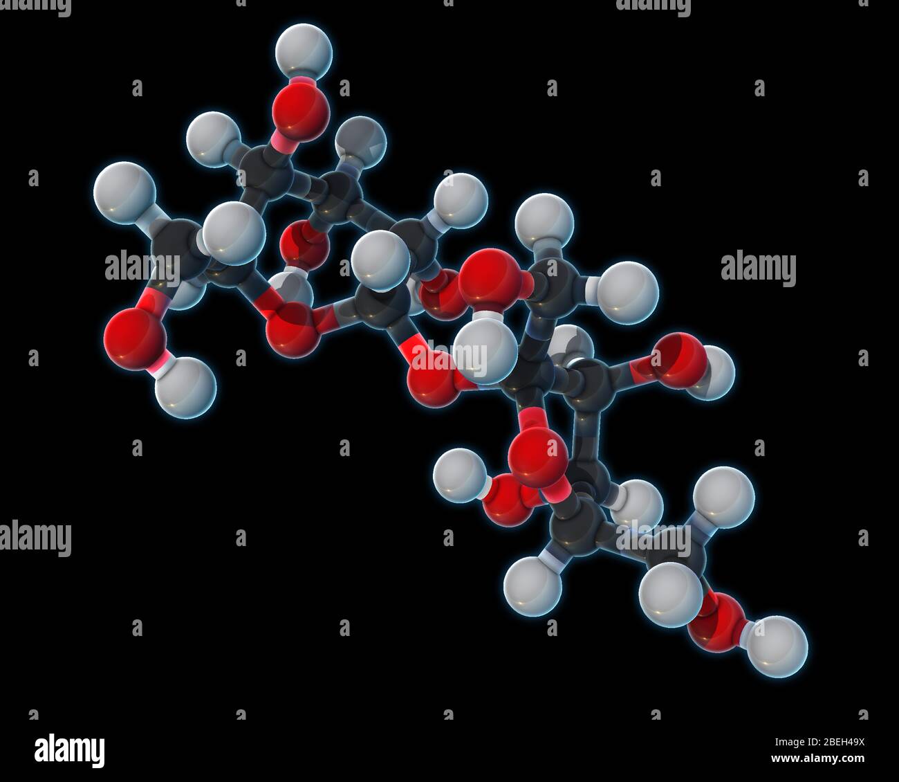 3d Sucrose Molecule
