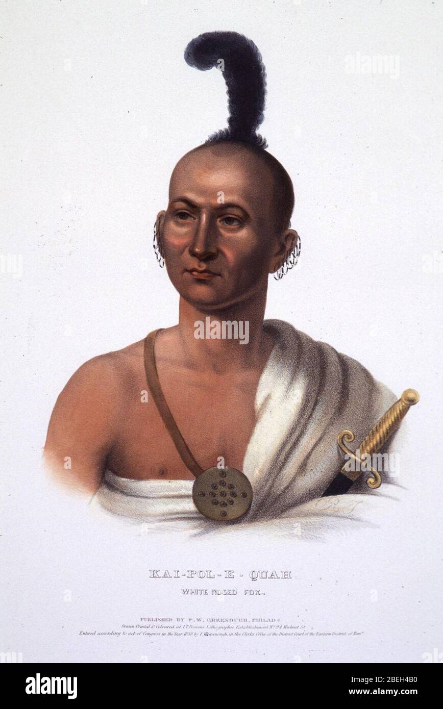 Henry Inman - Portrait of Kai-Pol-E-Quah Stock Photo - Alamy