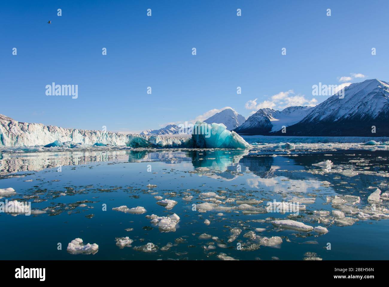 Big blue piece of ice in Arctic sea Stock Photo - Alamy