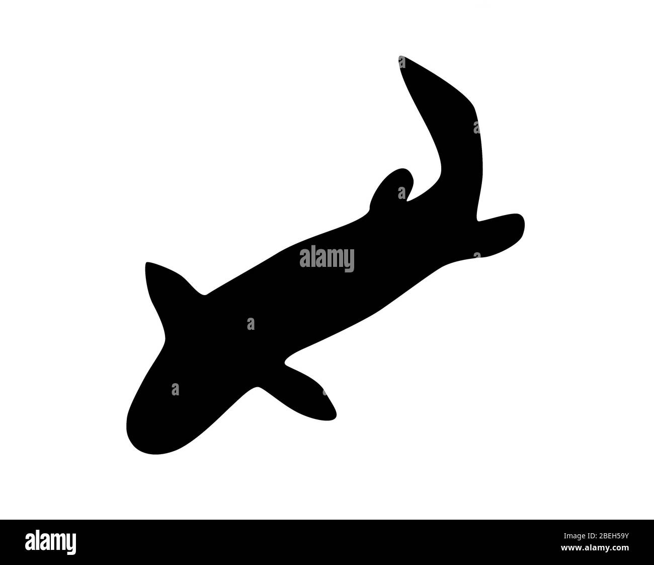 Panderichthys, Prehistoric Fish, Silhouette Stock Photo - Alamy