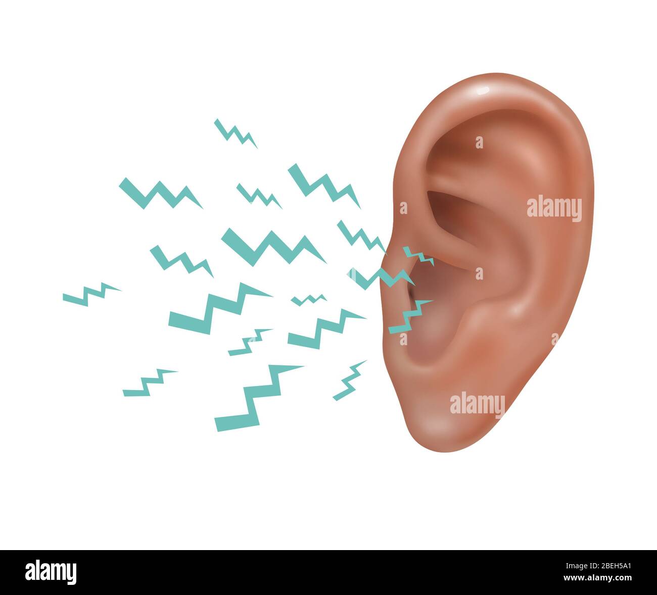 Human ear illustration Cut Out Stock Images & Pictures - Alamy
