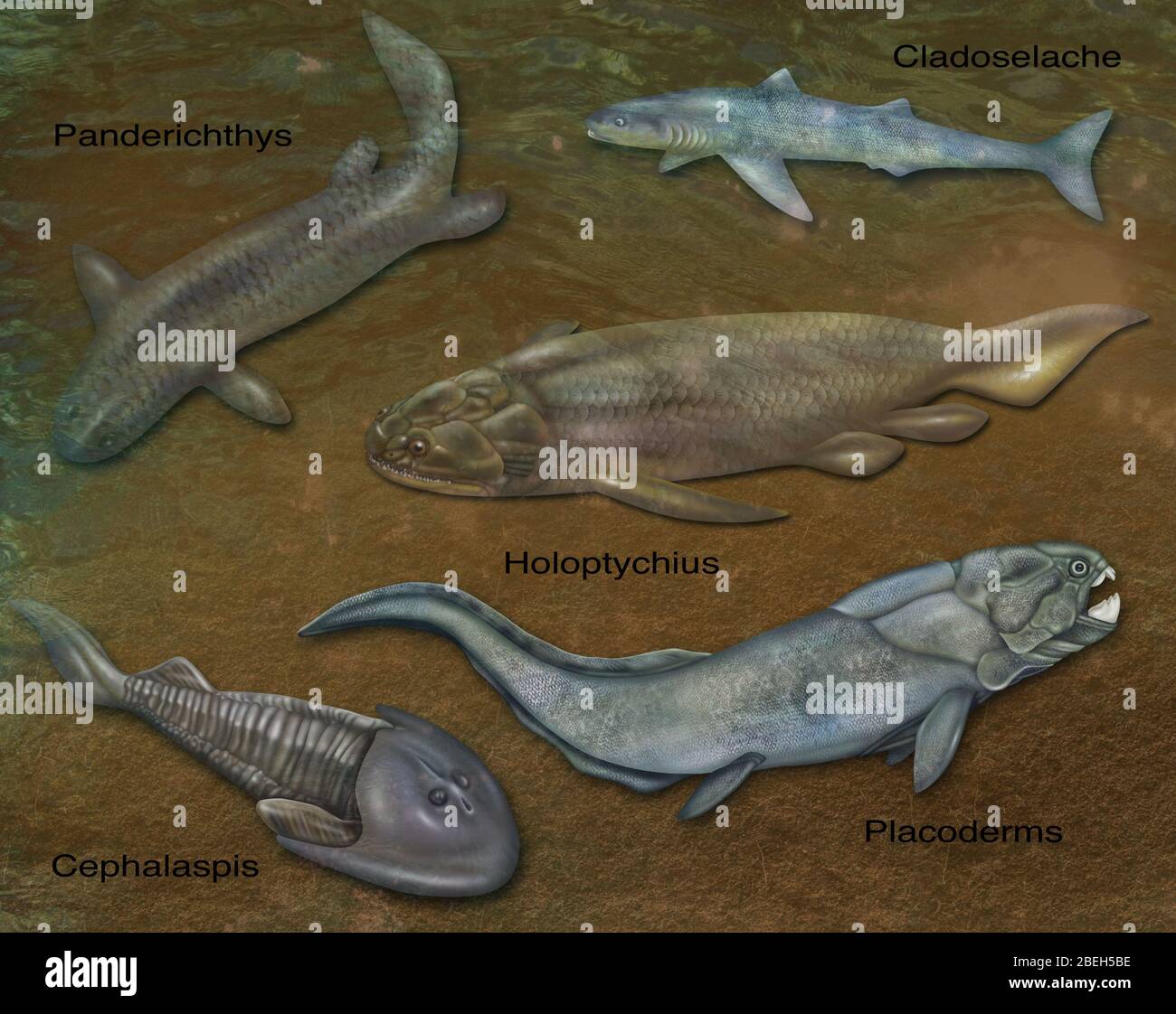 Prehistoric Fishes, Illustration Stock Photo - Alamy
