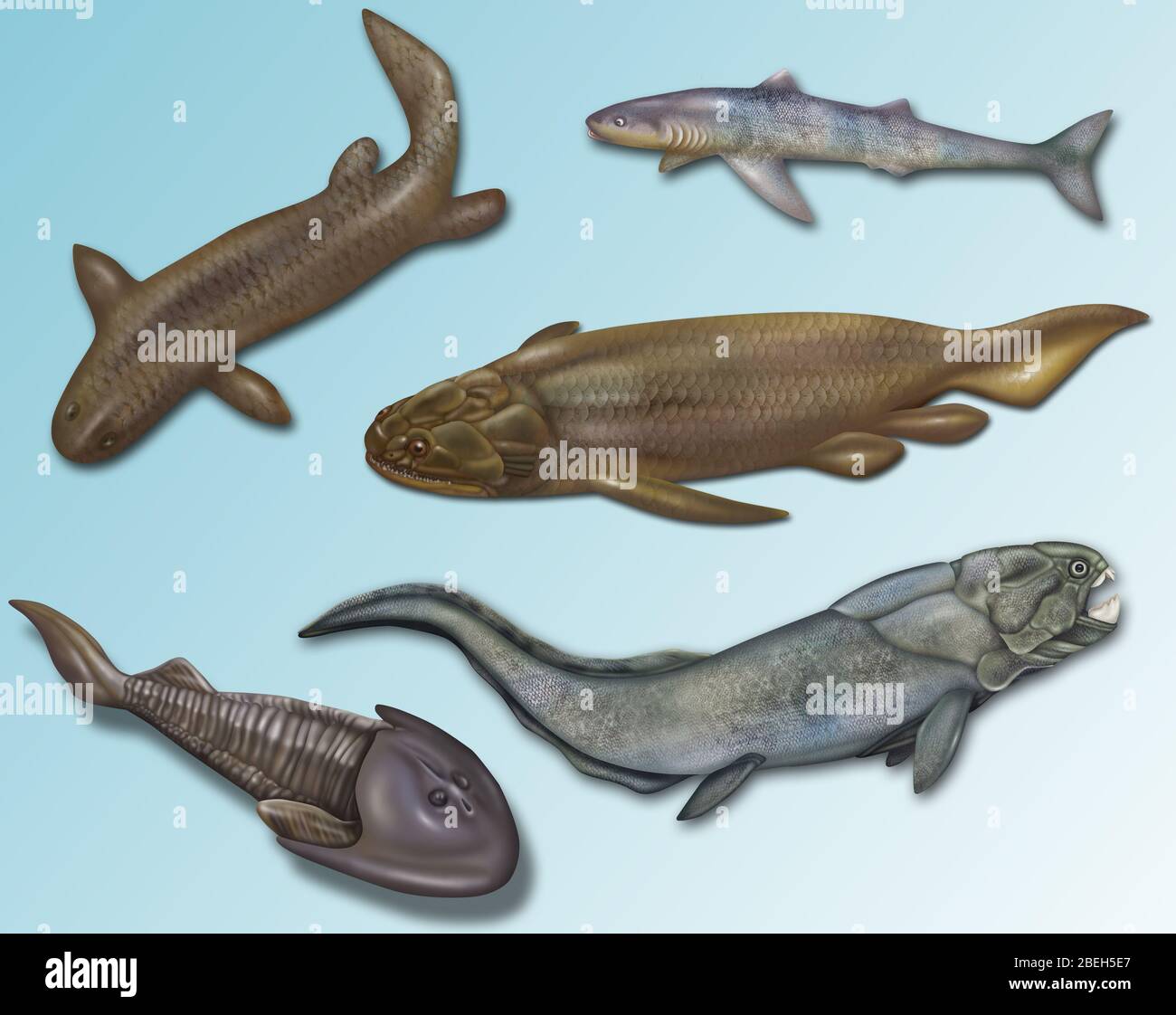 Prehistoric Fishes, Illustration Stock Photo - Alamy
