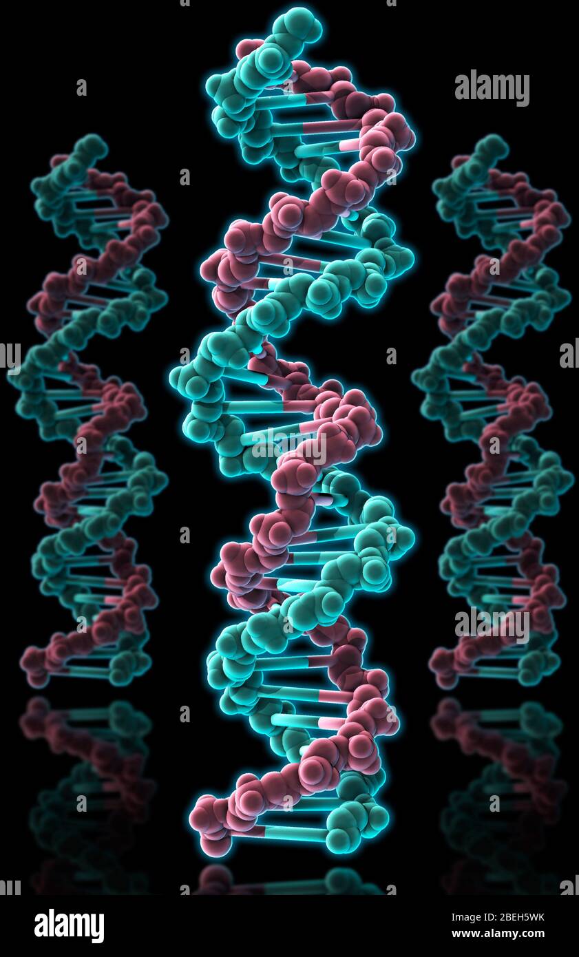 Dna Molecular Model High Resolution Stock Photography and Images - Alamy