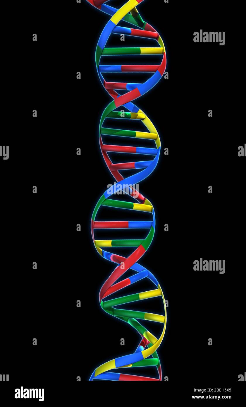 Dna double helix model hi-res stock photography and images - Alamy
