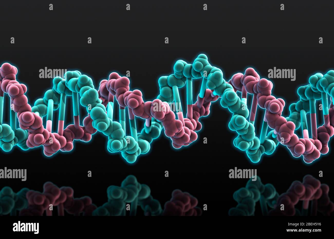 DNA, Molecular Model Stock Photo - Alamy