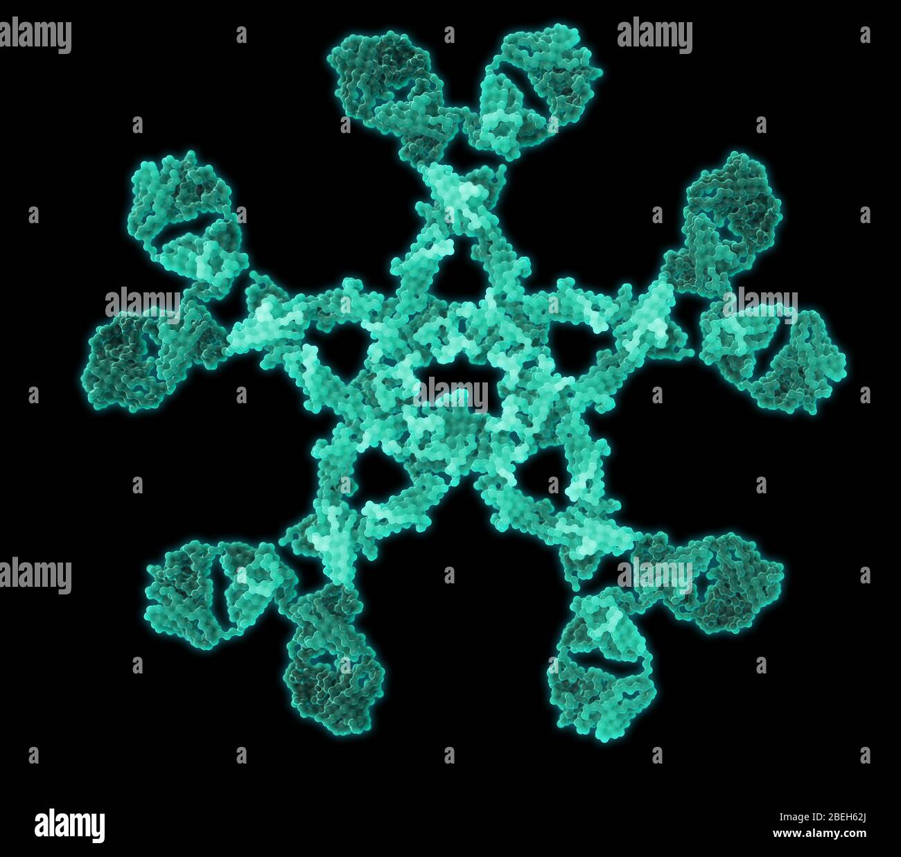 Immunoglobulin M, antibody Stock Photo - Alamy