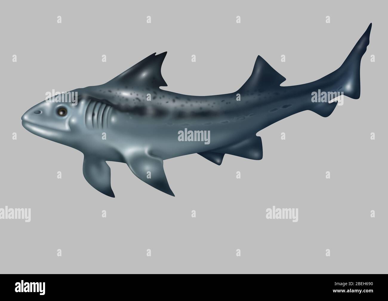 Extinct Shark Species High Resolution Stock Photography and Images - Alamy